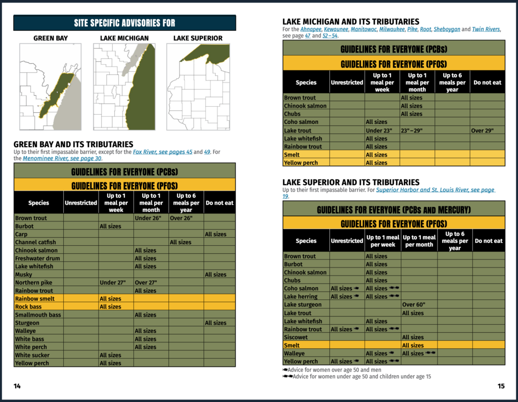 Updated DNR Guidelines for Safe Consumption of Wisconsin Fish - Newport ...