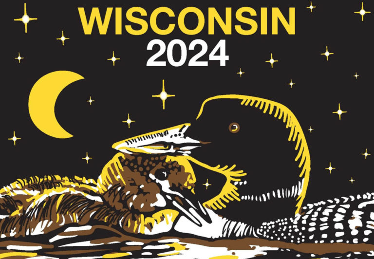 Backstory: WI State Park Stickers - Newport Wilderness Society