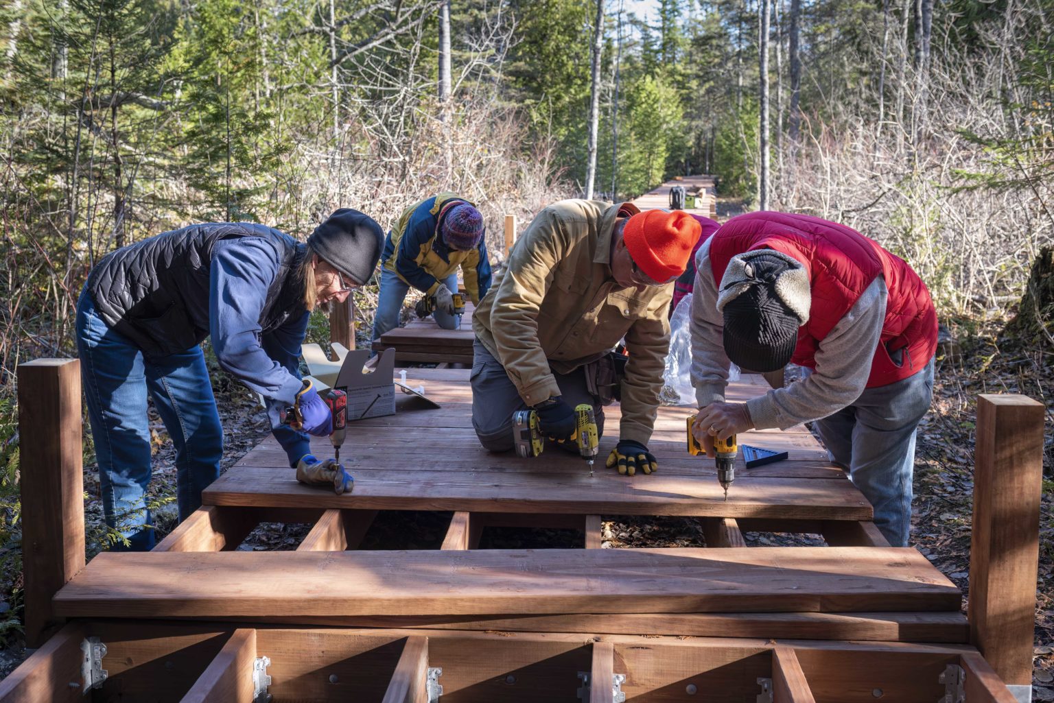 Fern Trail Work Day - Newport Wilderness Society